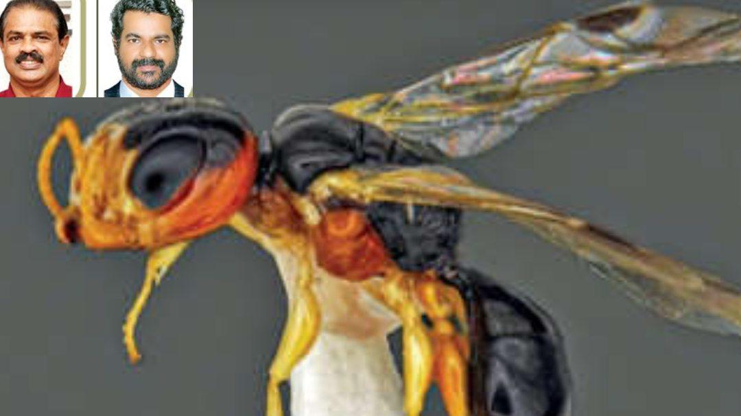 Scientist names newly discovered wasp species after his retiring ...