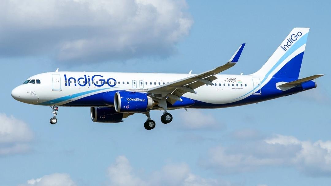 Citi, Jefferies maintain bullish stance on IndiGo, shares soar!