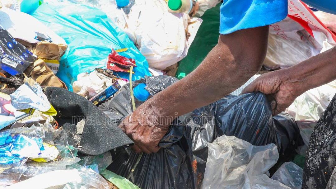 India’s food wastage lower than global average: UN report