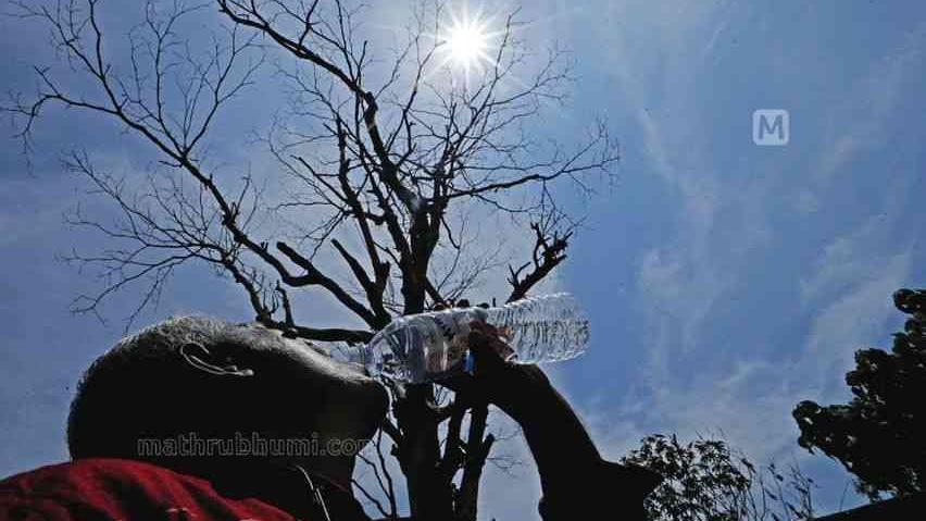 Kerala swelters under intense heat; experts warn of harsh summer ...