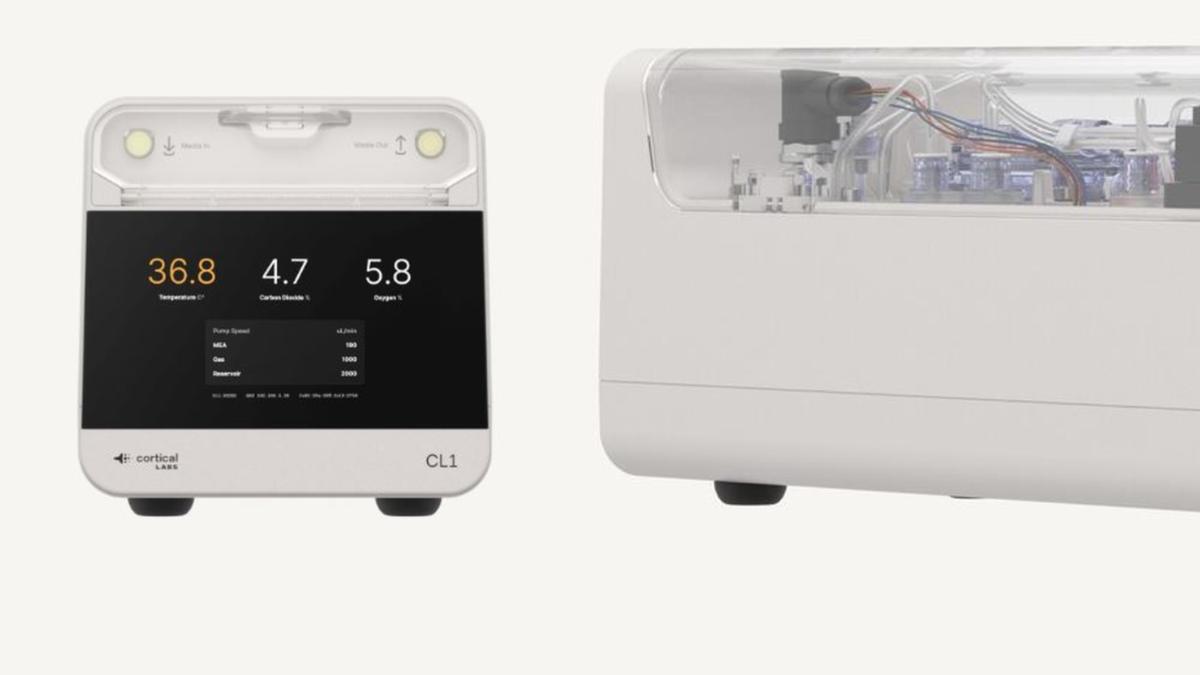 Australian startup unveils CL1: World's first commercial biological ...