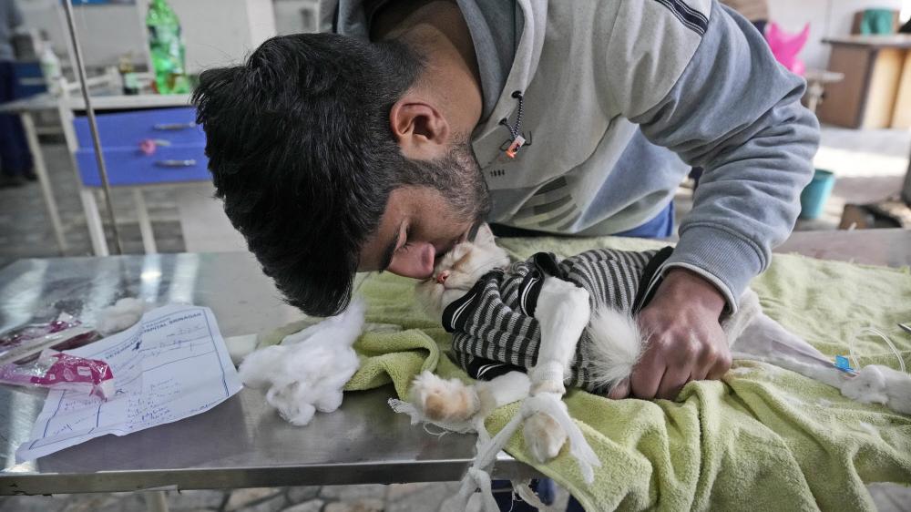 Viral posts spark panic among Kashmir’s cat lovers | SEE PICS