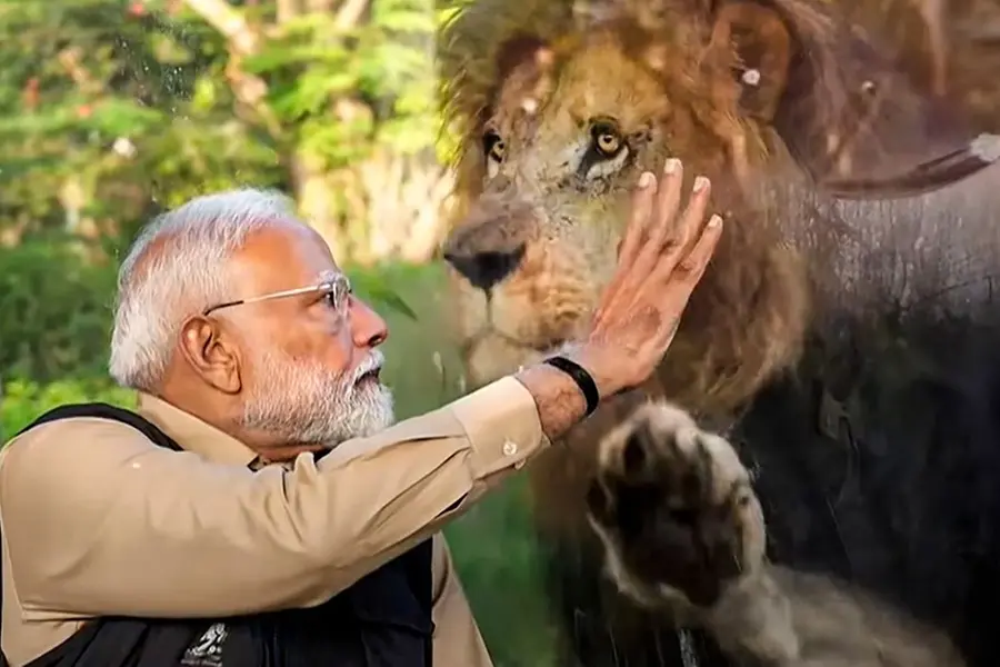 PM Modi inaugurates Vantara: Seen feeding lion cub, handling a snake ...