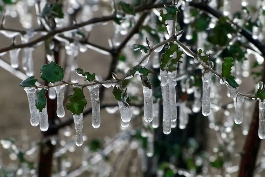 Snow-covered Rajasthan? Extreme hailstorm turns Churu into a winter ...