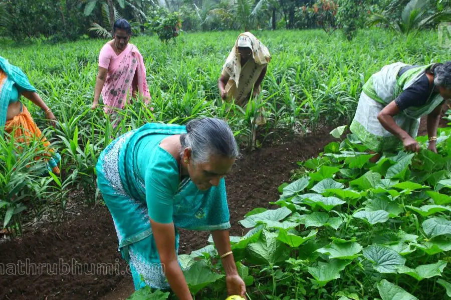 Increase wages under employment guarantee programme to Rs 700, demands ...