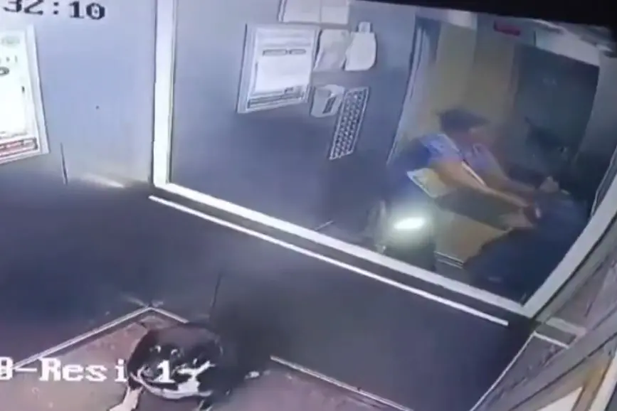 Police arrest woman after viral CCTV footage shows assault on child ...