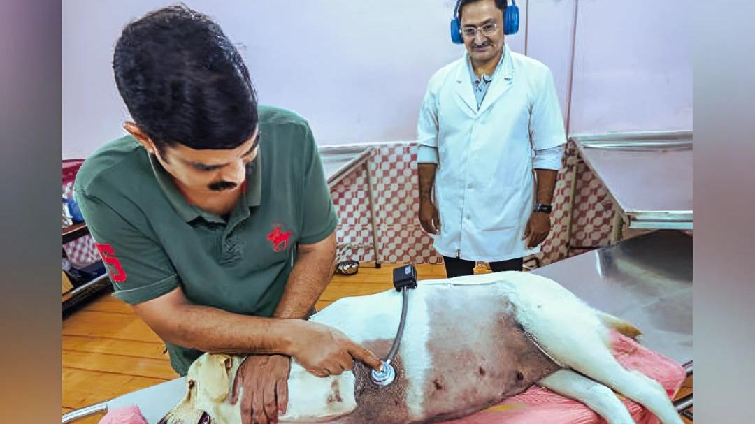 Kerala vet develops Bluetooth stethoscope to minimise risk in animal ...