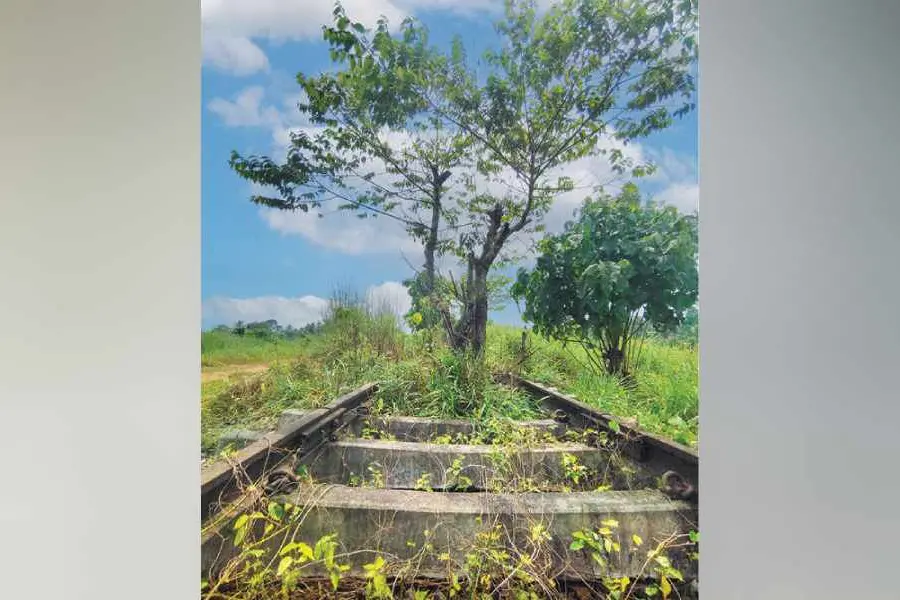 Angamaly-Erumeli Sabari rail project in limbo, locals left in lurch