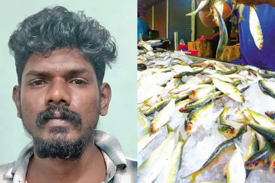 Unemployed man in Alappuzha attacks fish vendor, blames loud howling ...