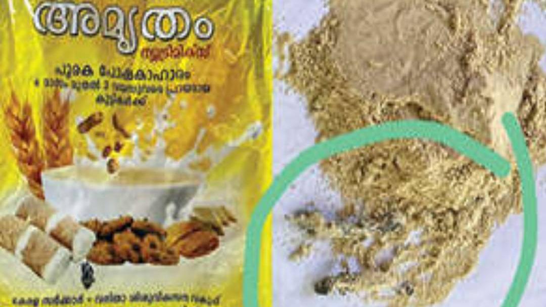 Dead lizards found in Anganwadi ‘Amrutham powder’ packet in Alappuzha