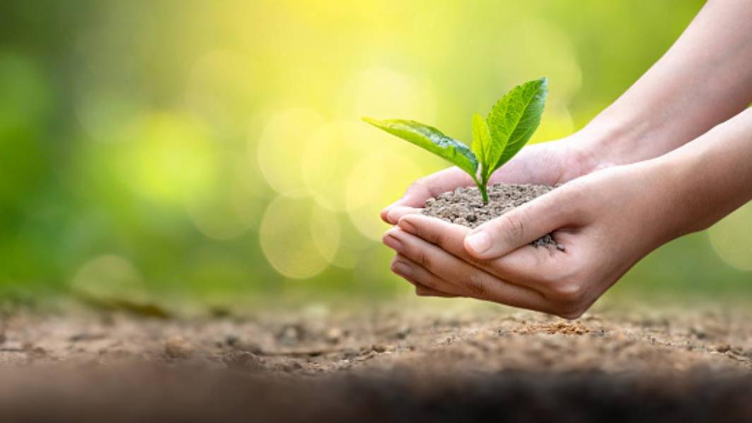 Kerala govt to develop horticulture hub through cooperative consortium