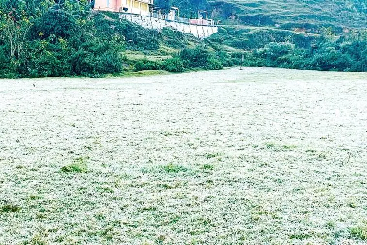 Munnar sees record low temperatures as snowfall blankets meadows