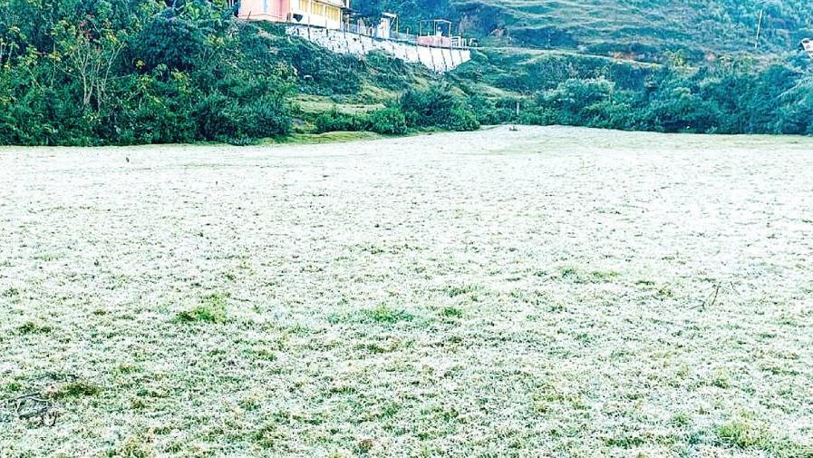Munnar sees record low temperatures as snowfall blankets meadows ...