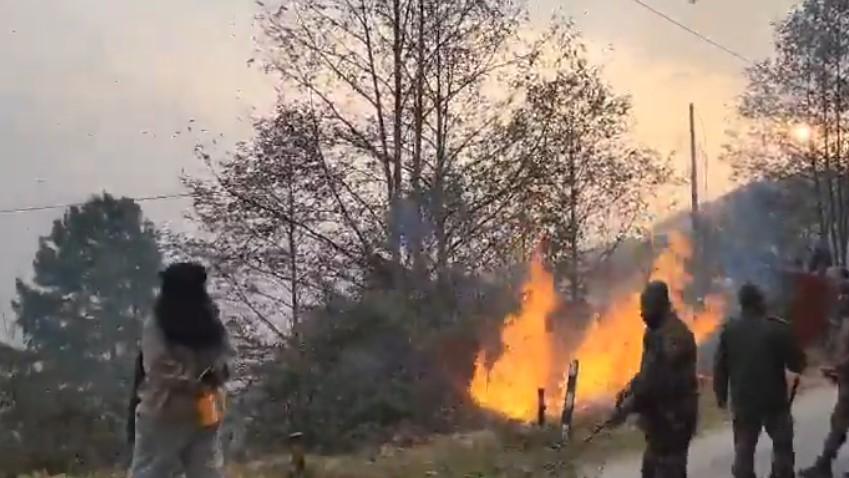 Massive wildfire erupts near Tawang Chu River in Arunachal Pradesh, no ...