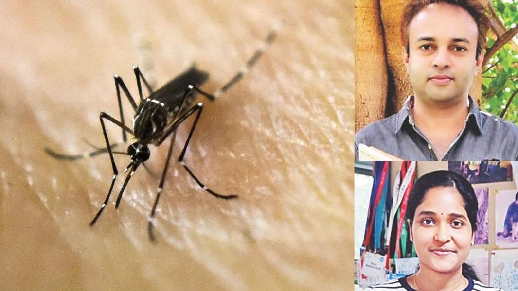 Malayali scientists create a new model to predict dengue outbreaks two ...