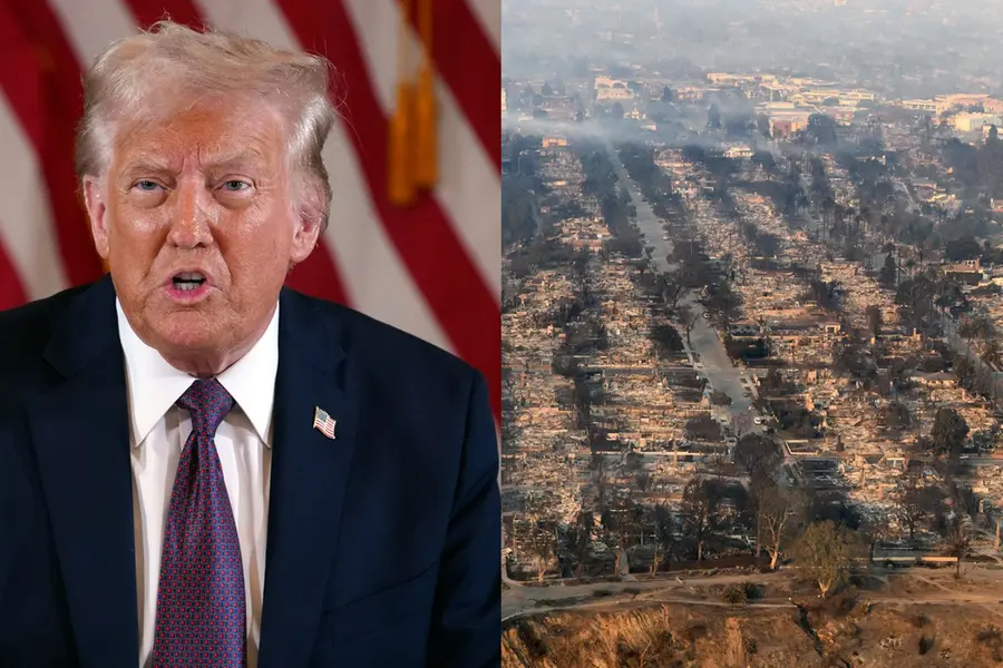 Trump uses Los Angeles fires to criticise democrats: 'This is all his ...