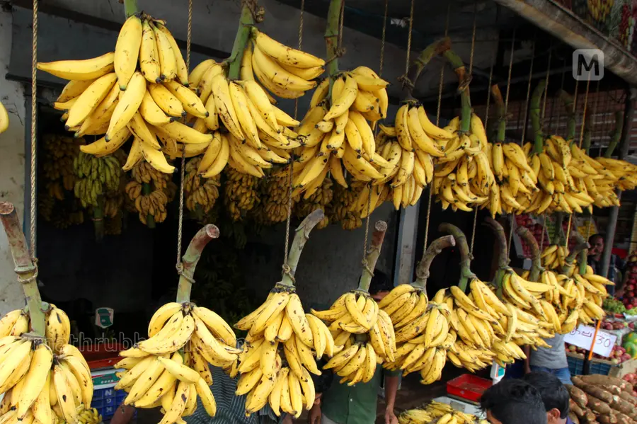 Soaring Nendran banana prices leave chips industry in a crunch