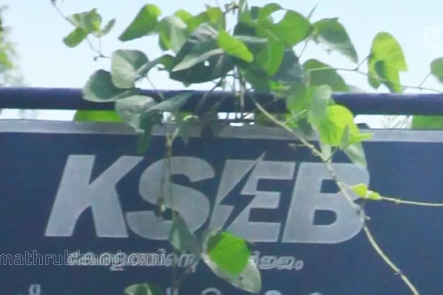 Counterfactual and misleading, says KSEB on former DGP’s fb post about electricity bill