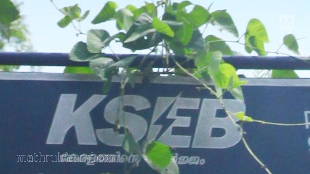 Power play: KSEB workers cut off electricity at bar over denial of free ...
