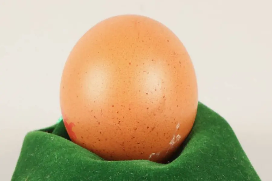 Only one in 10 crores; Rare egg fetches ₹21,000!