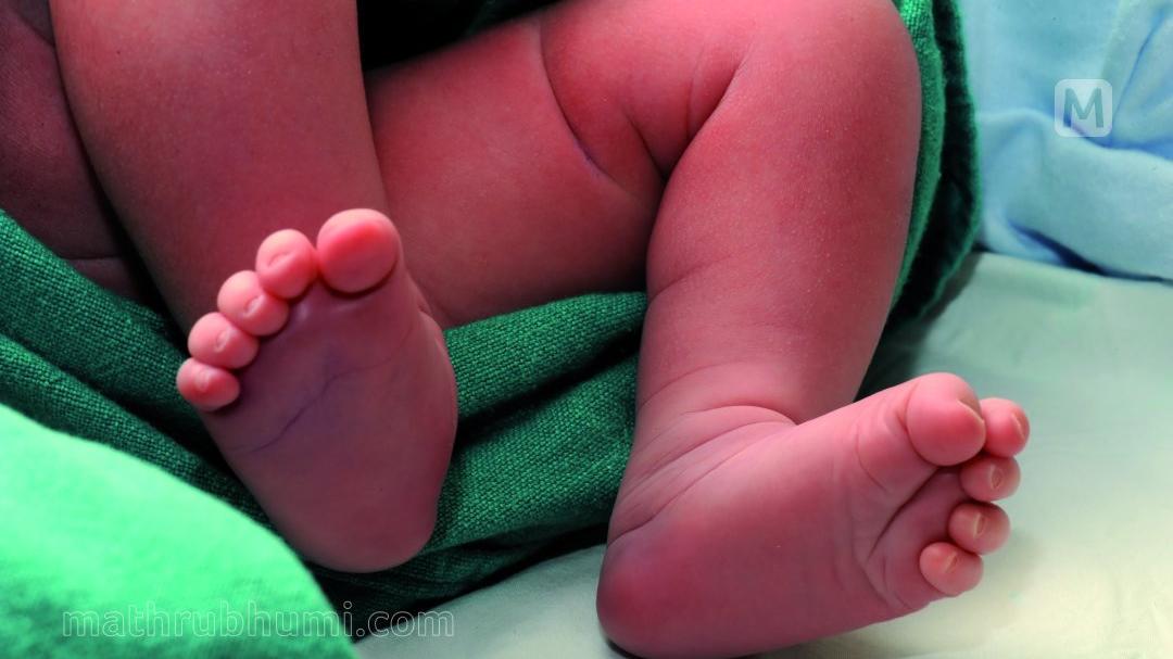 Step-by-step guide to apply for a birth certificate in India