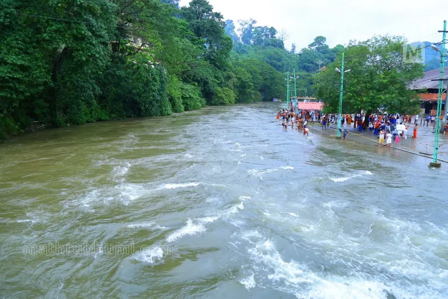Kerala faces new battle as Pamba-Achankovil-Vaippar River Interlinking ...