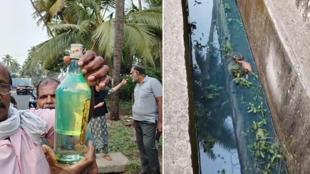 Diesel leak from HPCL's Elathur depot raises concerns; 600 liters spilled