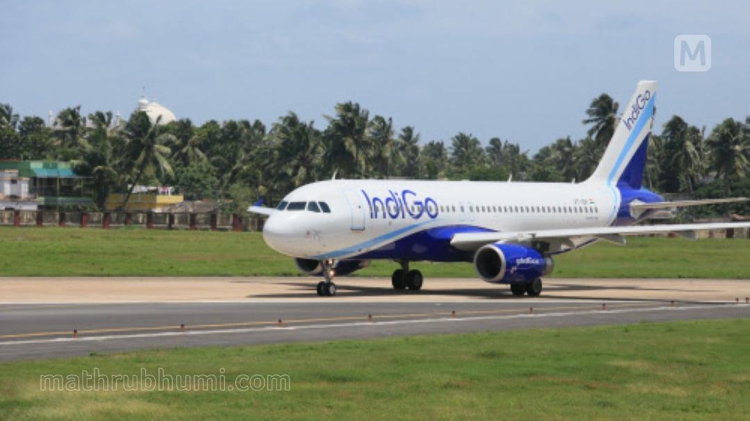 Indigo airlines faces system outage across India, flight movements affected