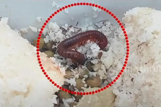 Millipede found in food served to patient at govt medical college in ...