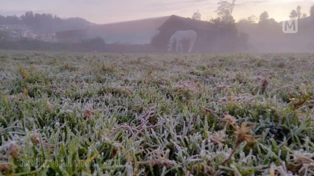 Winter is Here: Ooty welcomes snowfall season; e-pass still mandatory