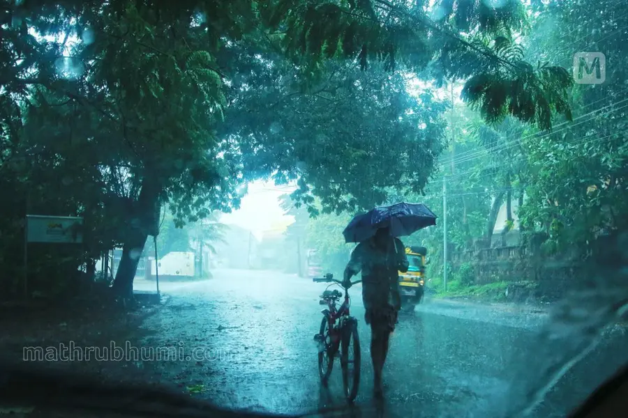 Westerly winds strengthen: Heavy rains to continue in Kerala; orange ...
