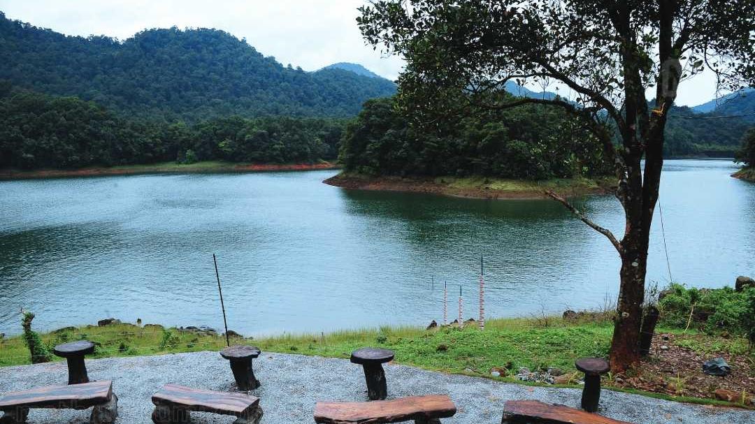 Hydel tourism centers see record profit surge in Kerala | Mathrubhumi ...