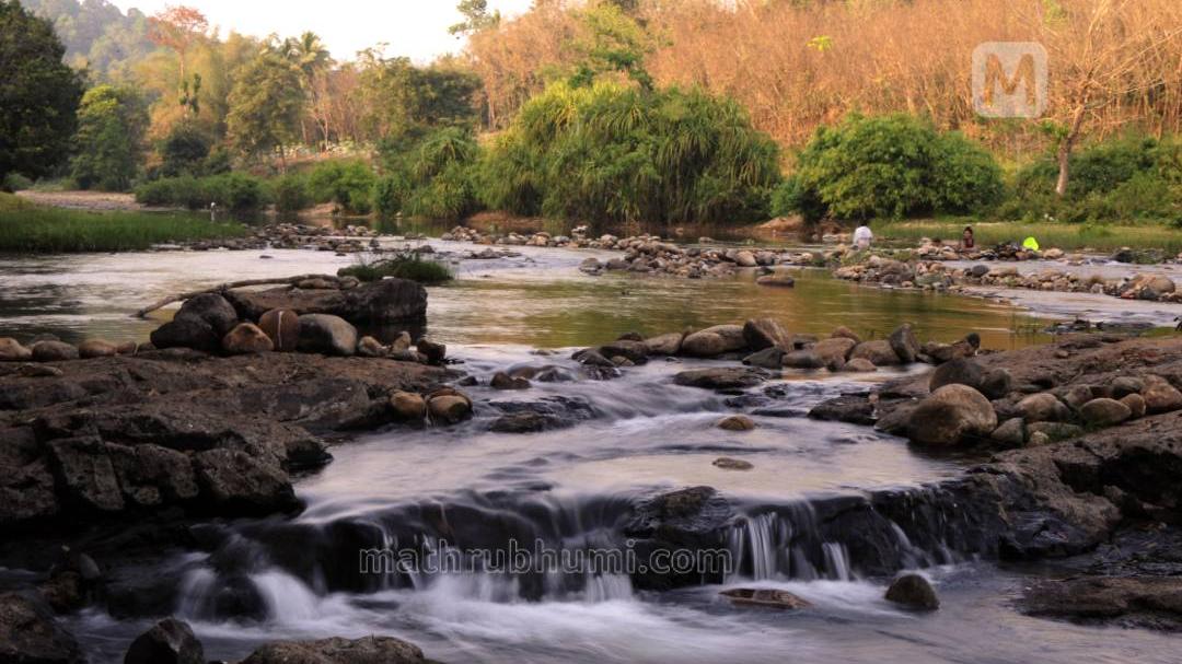 Aralam, a paradise of rich biodiversity and lush forest