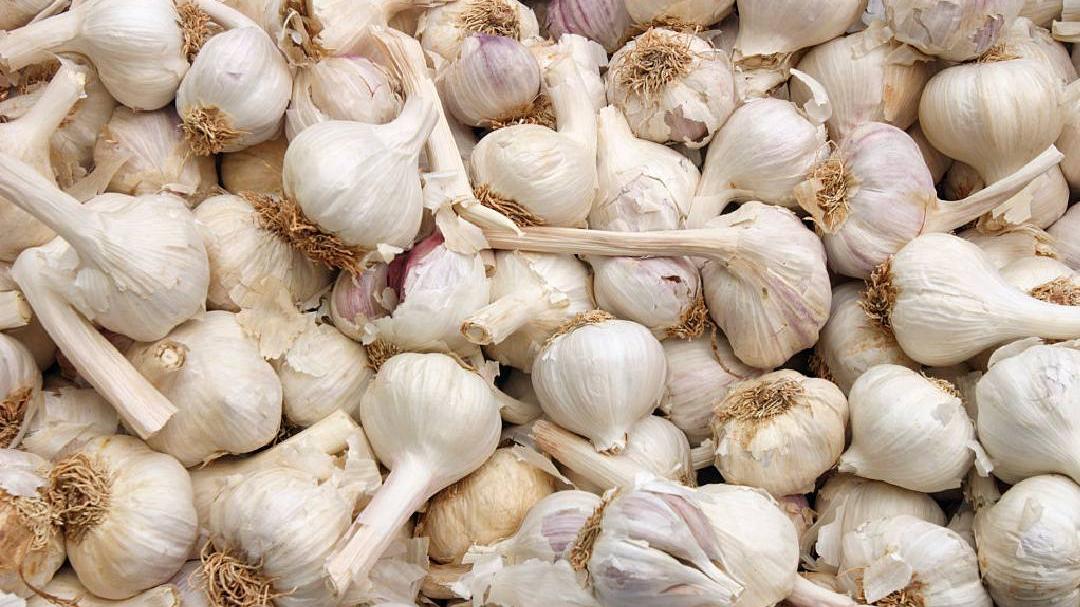 Garlic prices in Kerala surprass Rs 440; farmers expect no relief ...