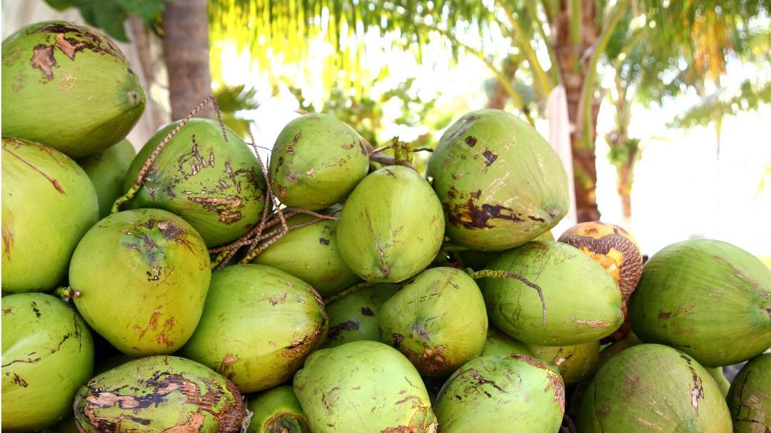 Curious case of Kerala farmers: Lack of focus despite higher returns ...