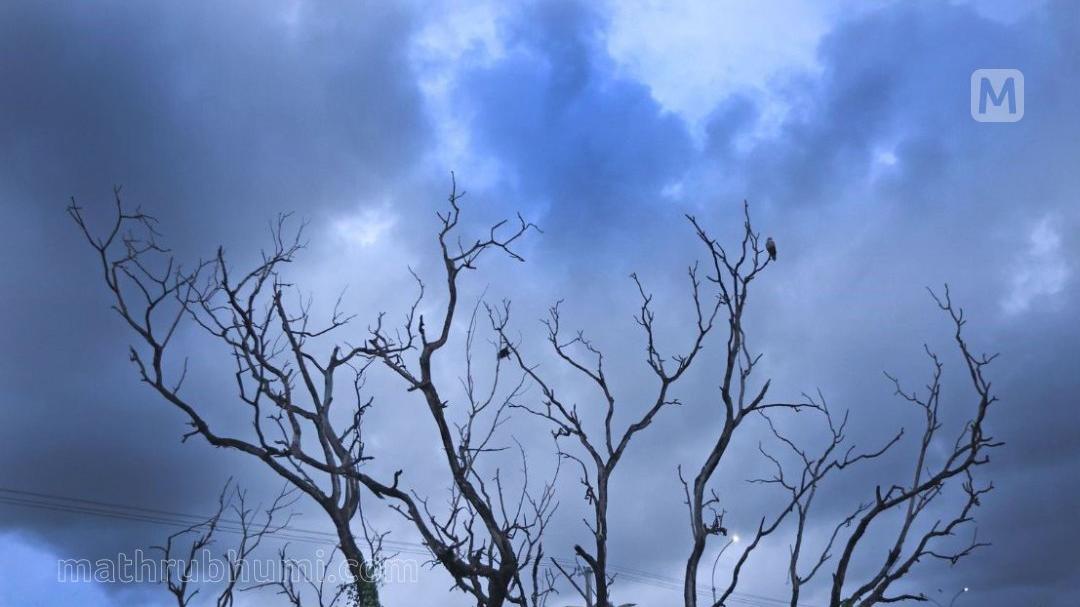 ‘Thulavarsham’ weakens, rainfall dips; Kerala faces rising heat ...