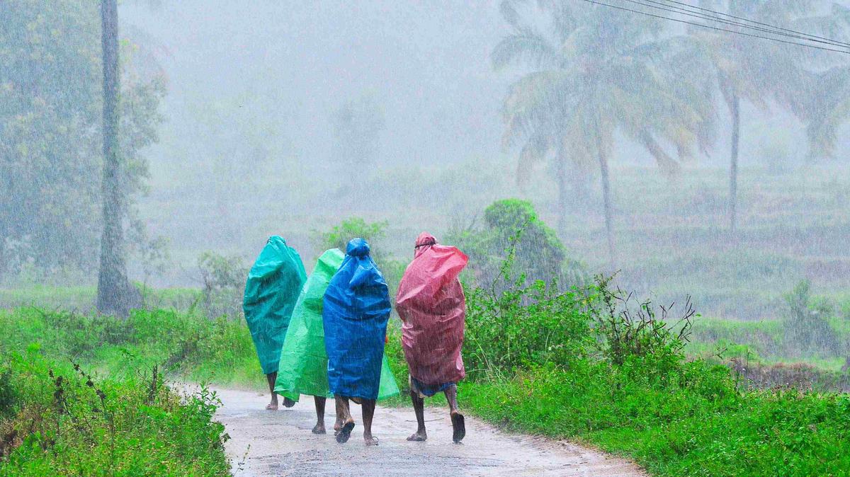 Idukki On Orange Alert As Imd Predicts Heavy Rain Yellow Alert For 7