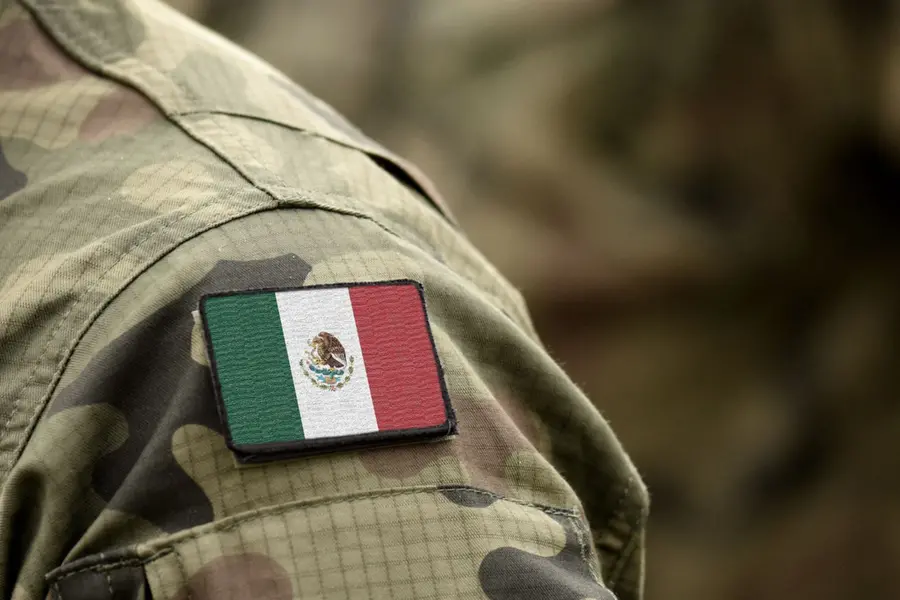 16 killed in Guerrero as Mexican forces battle alleged criminals ...