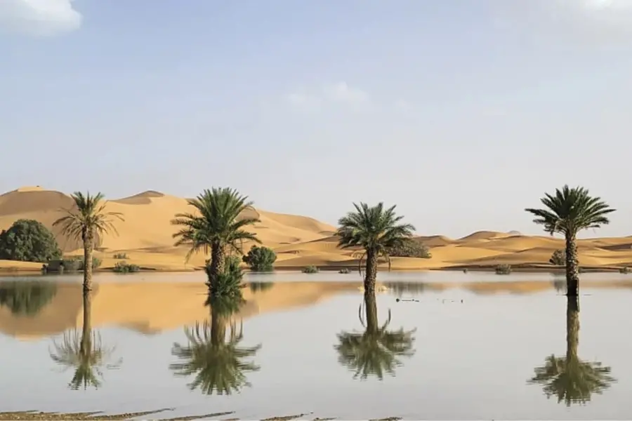 Sahara transformed: First major rain in 50 years creates stunning blue ...