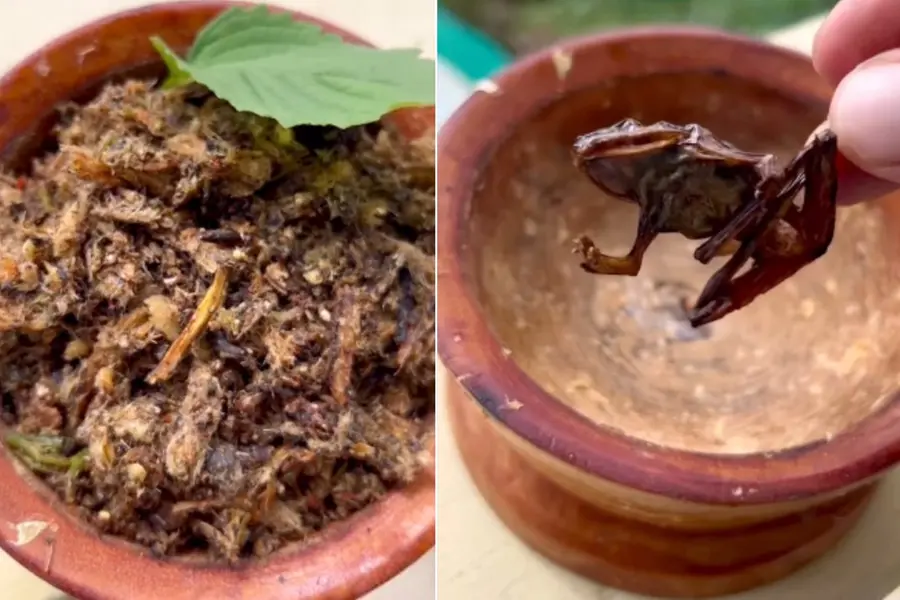 Netizens feel both yuck and yummy as video on frog chutney goes viral ...
