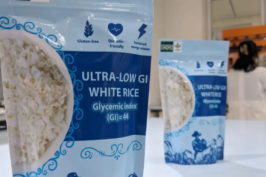 Scientists develop new rice variety to reduce diabetes risk