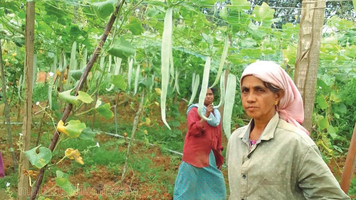 Kerala co-op society leads by example, generates over 1,500 kg of ...