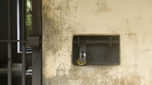 Covid certificate not mandatory for jail admission, inmates to be kept ...