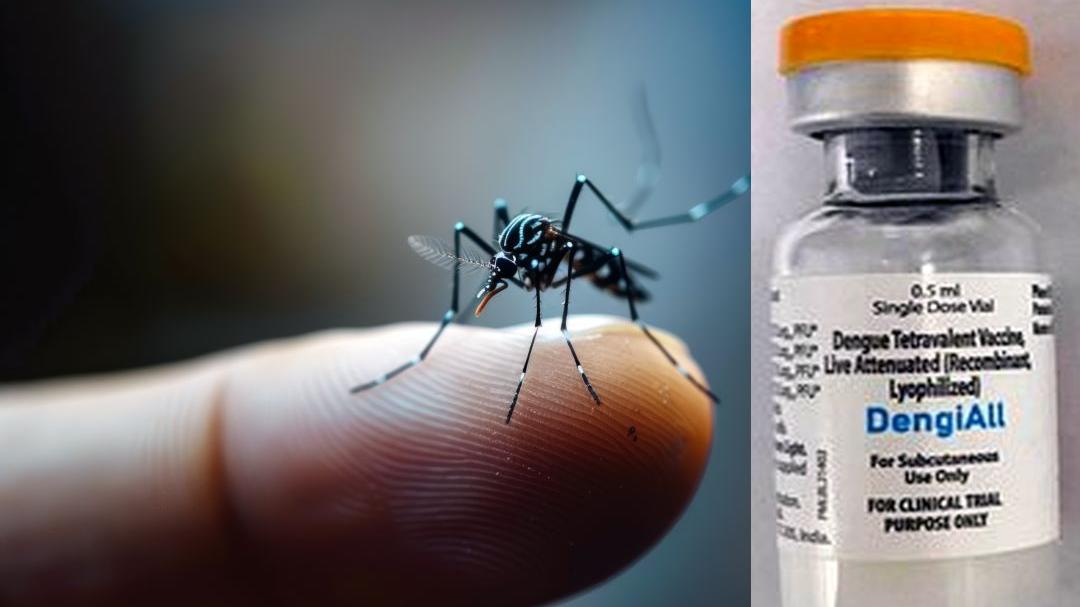 India's first-ever dengue vaccine DengiAll enters Phase 3 clinical trial