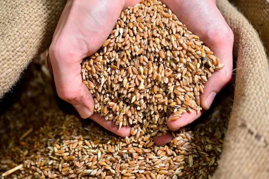 India's first 24/7 grain ATM opens in Odisha’s Bhubaneswar ...