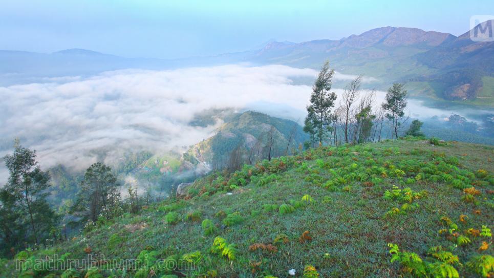 New ESA draft includes Wayanad landslide areas: Tough measures for ...