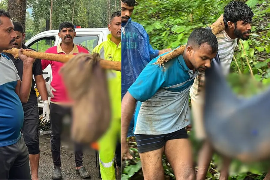 Beating odds, locals and forces continue rescue operations in landslide ...