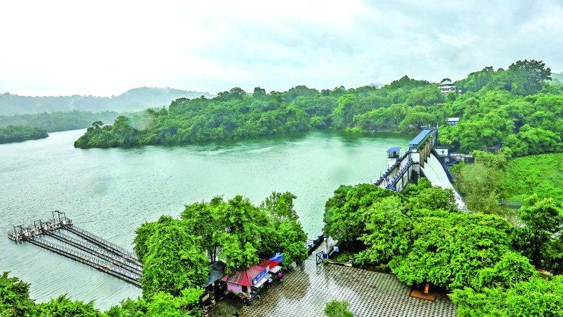 Kerala's Peechi Dam shutters raised amidst heavy rainfall; Other ...