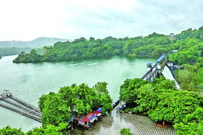 Kerala's Peechi Dam shutters raised amidst heavy rainfall; Other ...