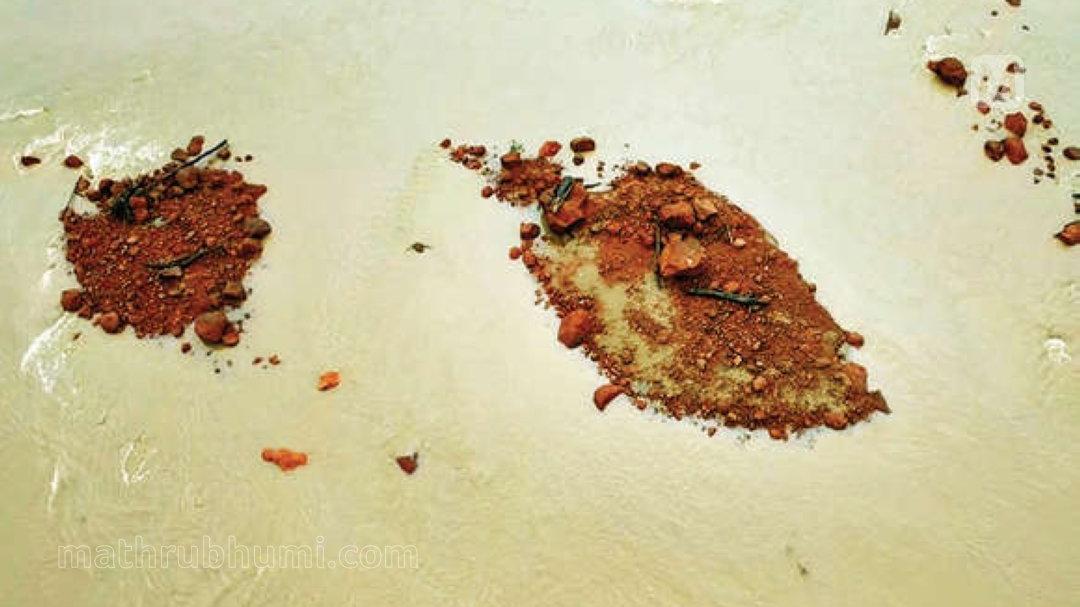 Karnataka landslide: One more body found, search for Arjun enters 8th day